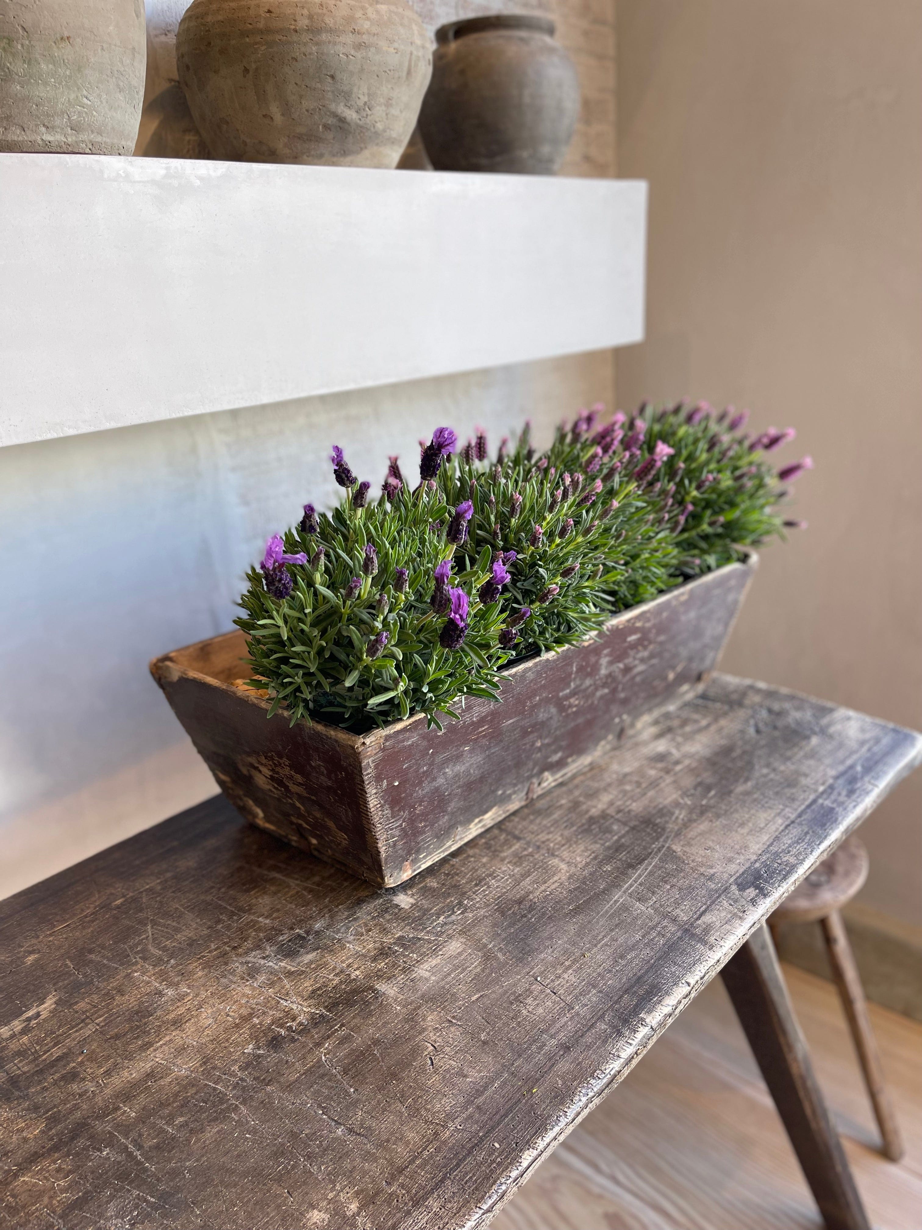 Vintage Rice Basket – Kier Design Interiors