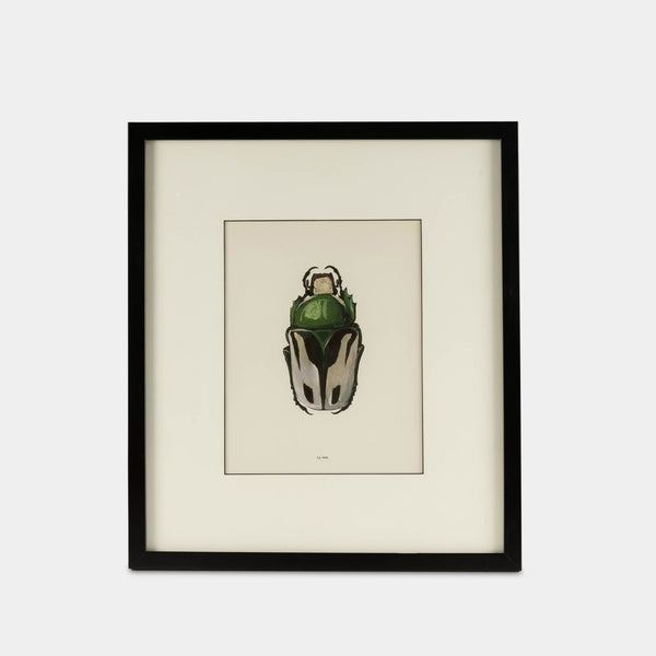 Framed bug print – Kier Design Interiors